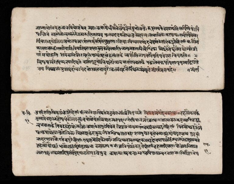 Ancient Ayurvedic Texts – SDL INDIA