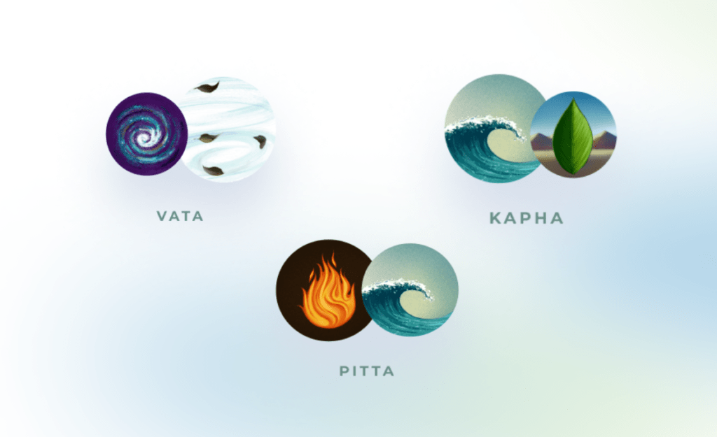What is Prakriti? - SDL INDIA