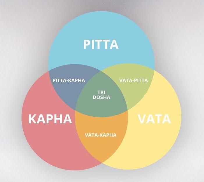 Ancient Ayurvedic Prakriti Classification Has Genetic Roots: CCMB Director - SDL INDIA