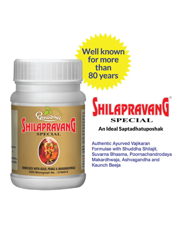 Shilapravang Special Tablets - SDL INDIA
