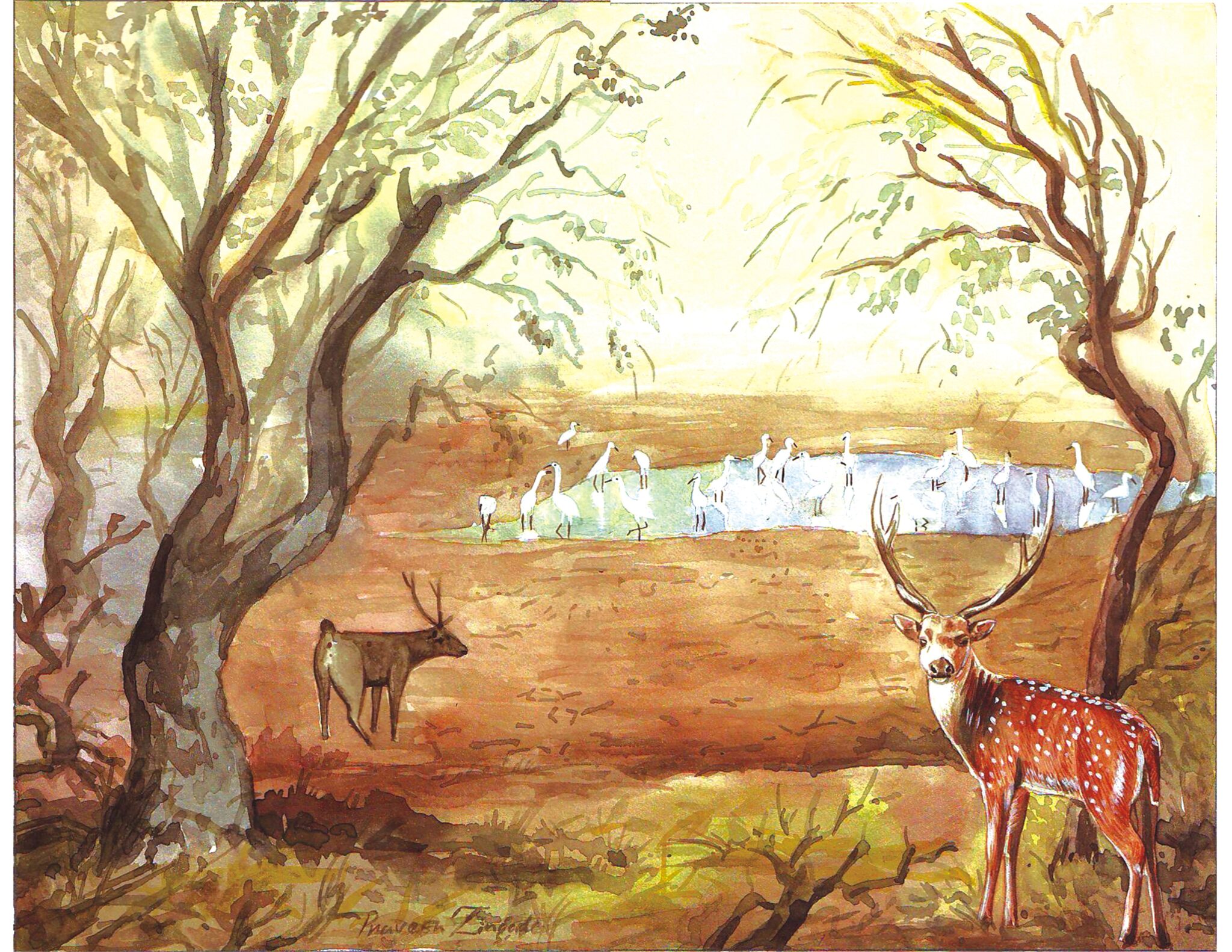 Seasonal Diet & Conduct (Rutucharya) in Greeshma (ग्रीष्म) Rutu ...