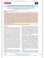 Evaluation Of Wound Healing Activity Of Radona® Tablet - SDL INDIA